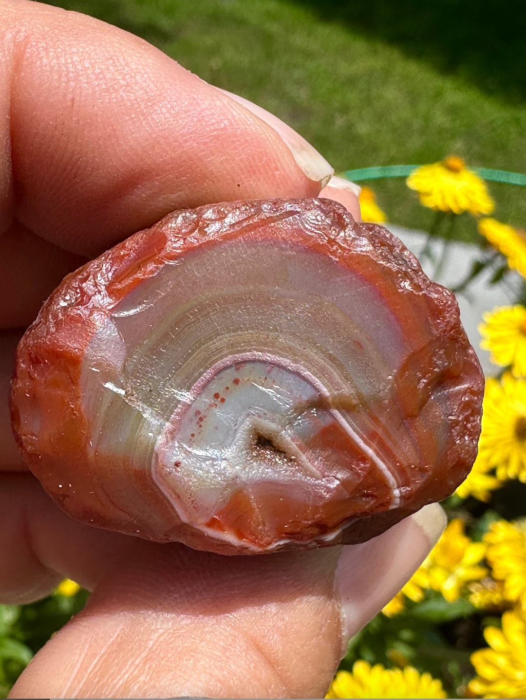 Lake Superior Agate 1.3oz Rainbow Jelly Agate, Pastel, Red Husk ...