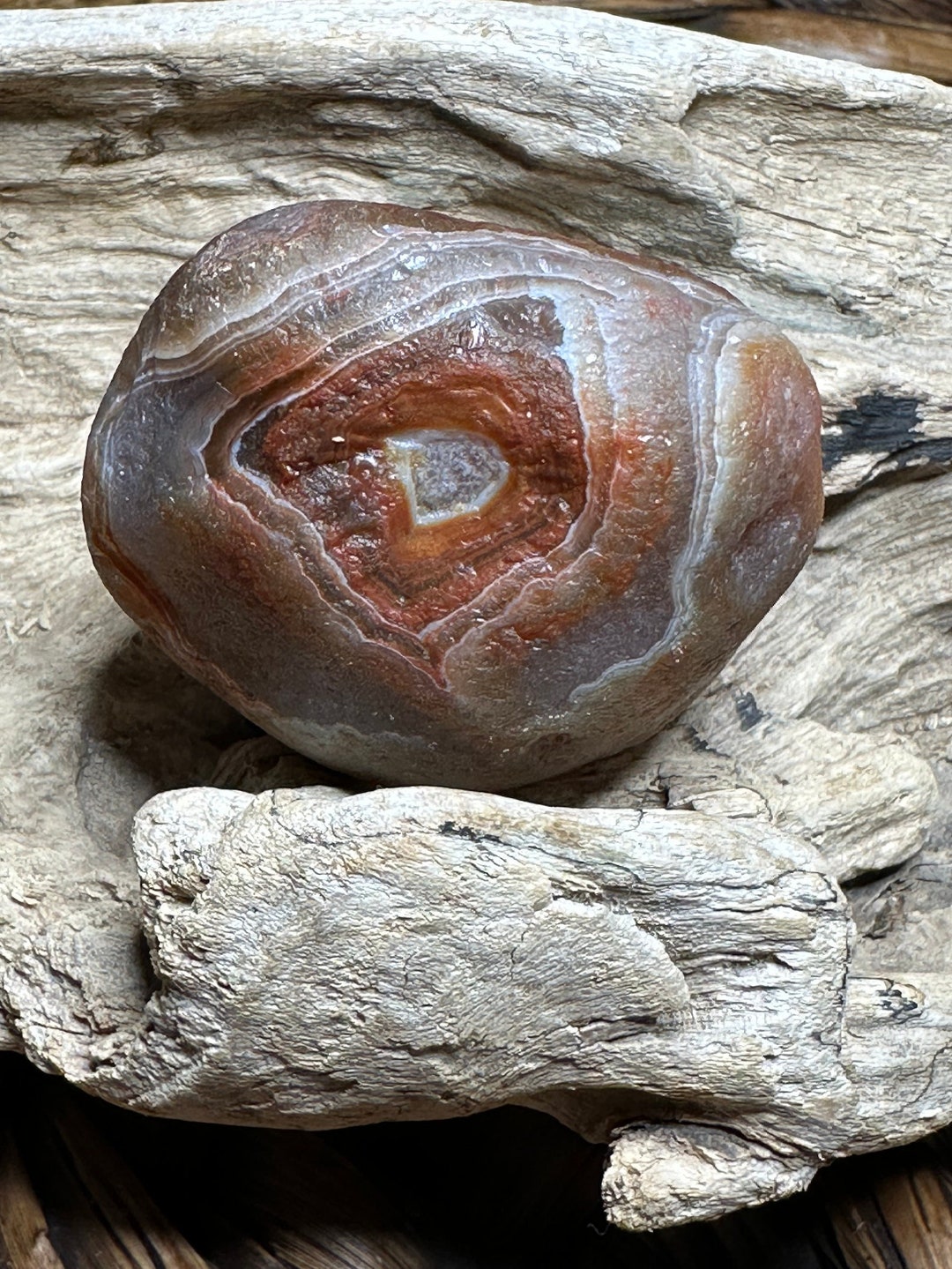 Lake Superior Eye Agate 3.1oz, Banded, Peeler, Smooth Husk, Water ...