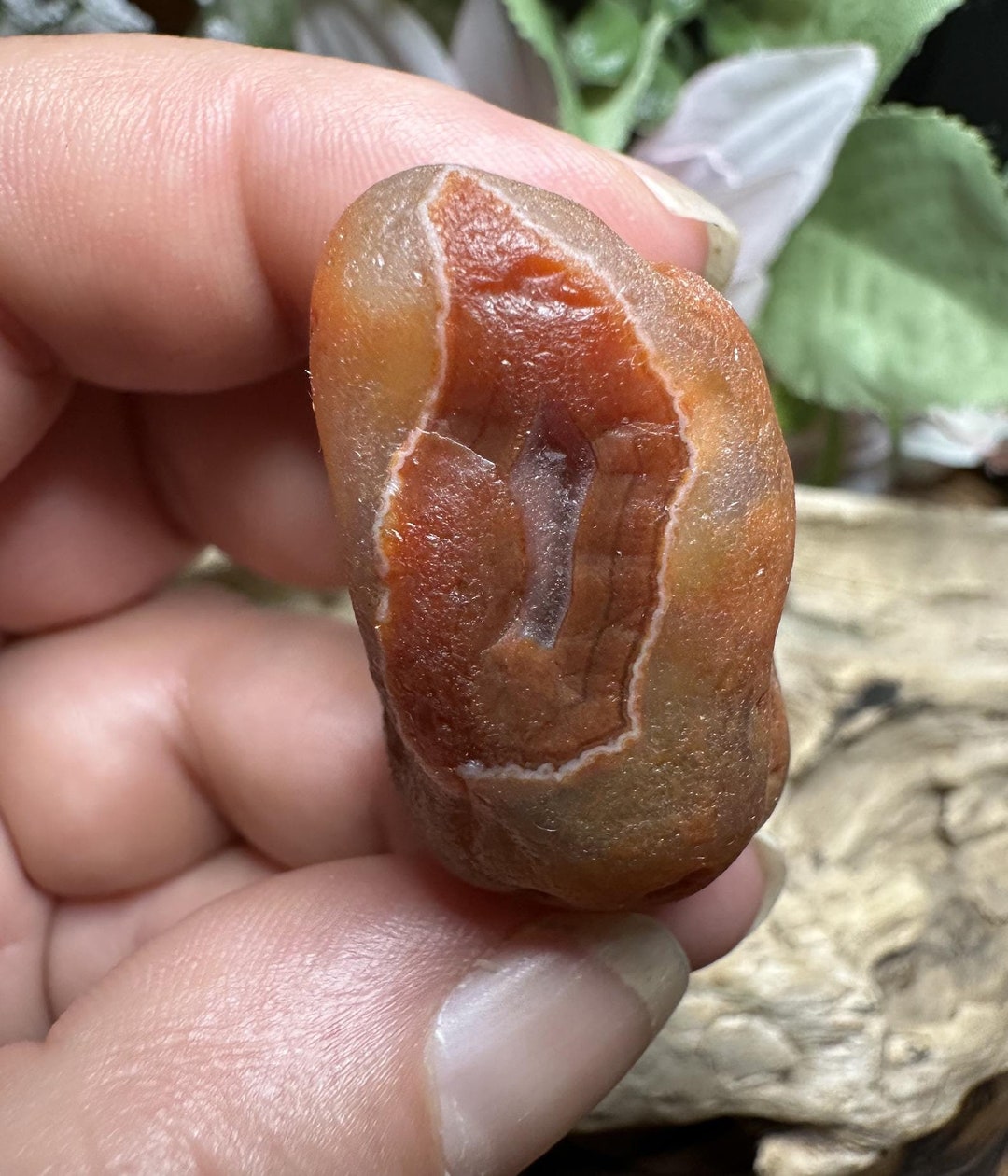 Lake Superior Agate Nodule 1.2oz LSA Orange Husk, Float Agate Bands ...