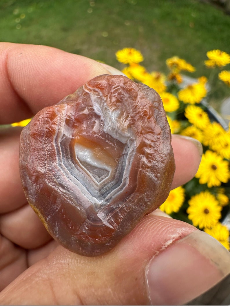 Lake Superior Agate 1oz, Two Face Agate, Banded Agate, Smooth Husk ...