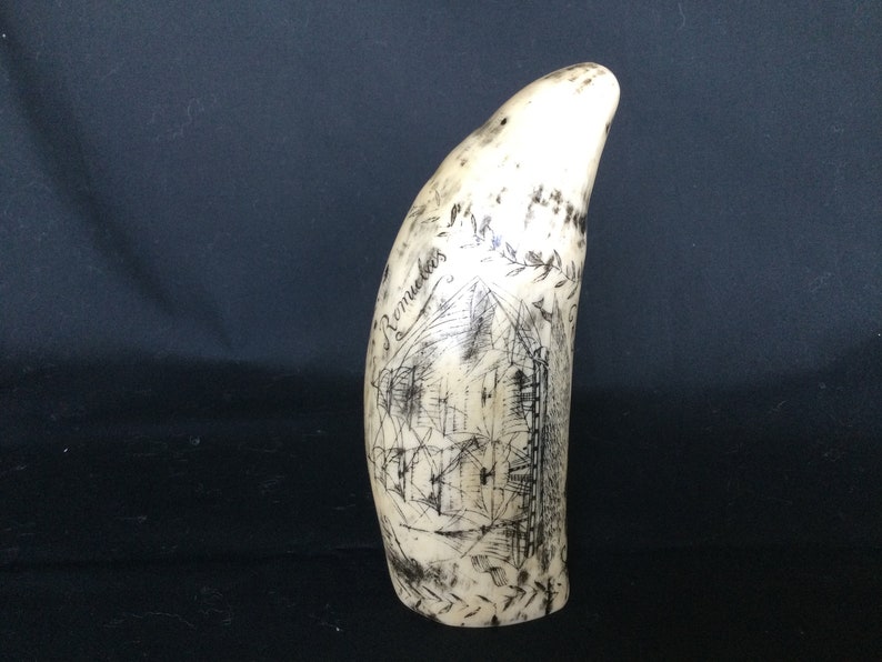 Walrus Tooth Engravings Pink Romulus Ivory Imitation, Replica of an ...