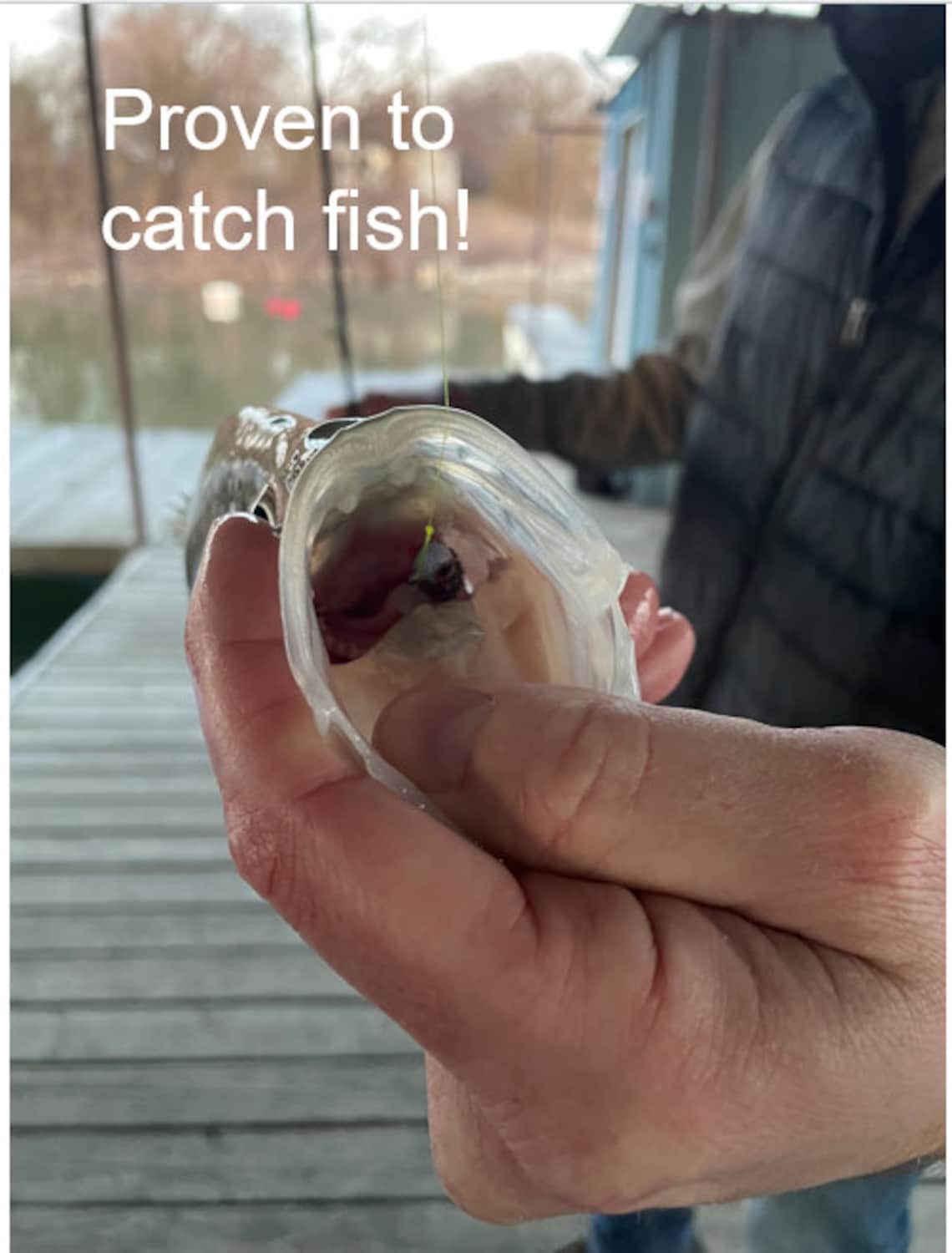Bleeding Shad Crappie Fishing Jigs - Etsy