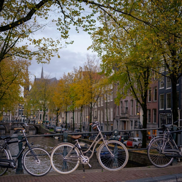Dutch Bike - Etsy