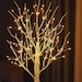 Glowing Birch Tree LED Lights - Etsy