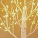 Glowing Birch Tree LED Lights - Etsy