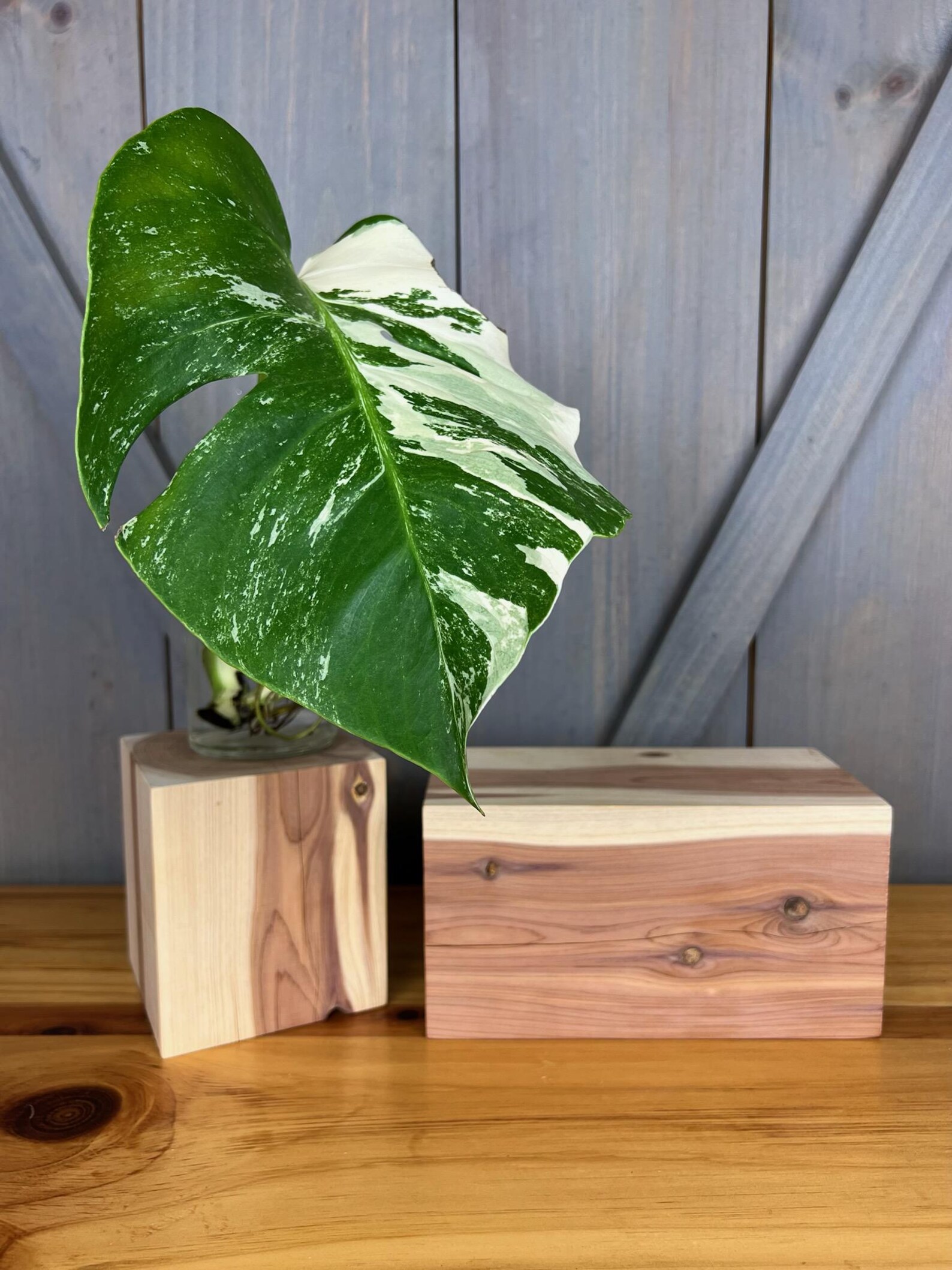 Cedar Block Risers - Etsy