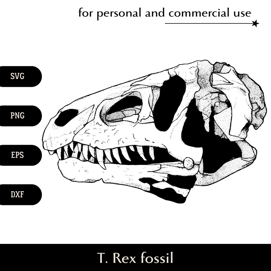 Tyrannosaurus Rex Skull Svg T Rex Fossil Skeleton Png Eps Dxf