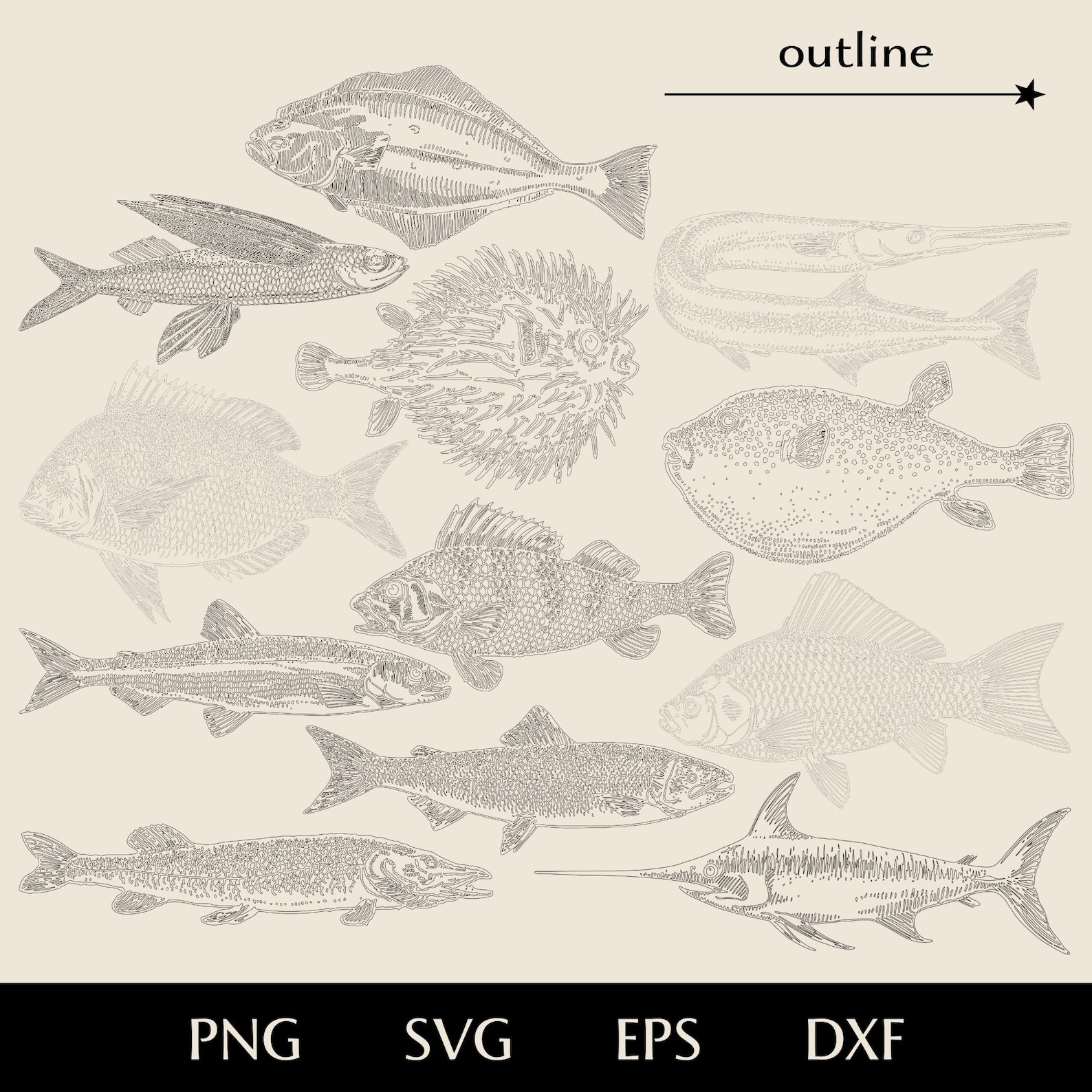 Saltwater and Freshwater Fish SVG Bundle, Blowfish Carp Halibut ...