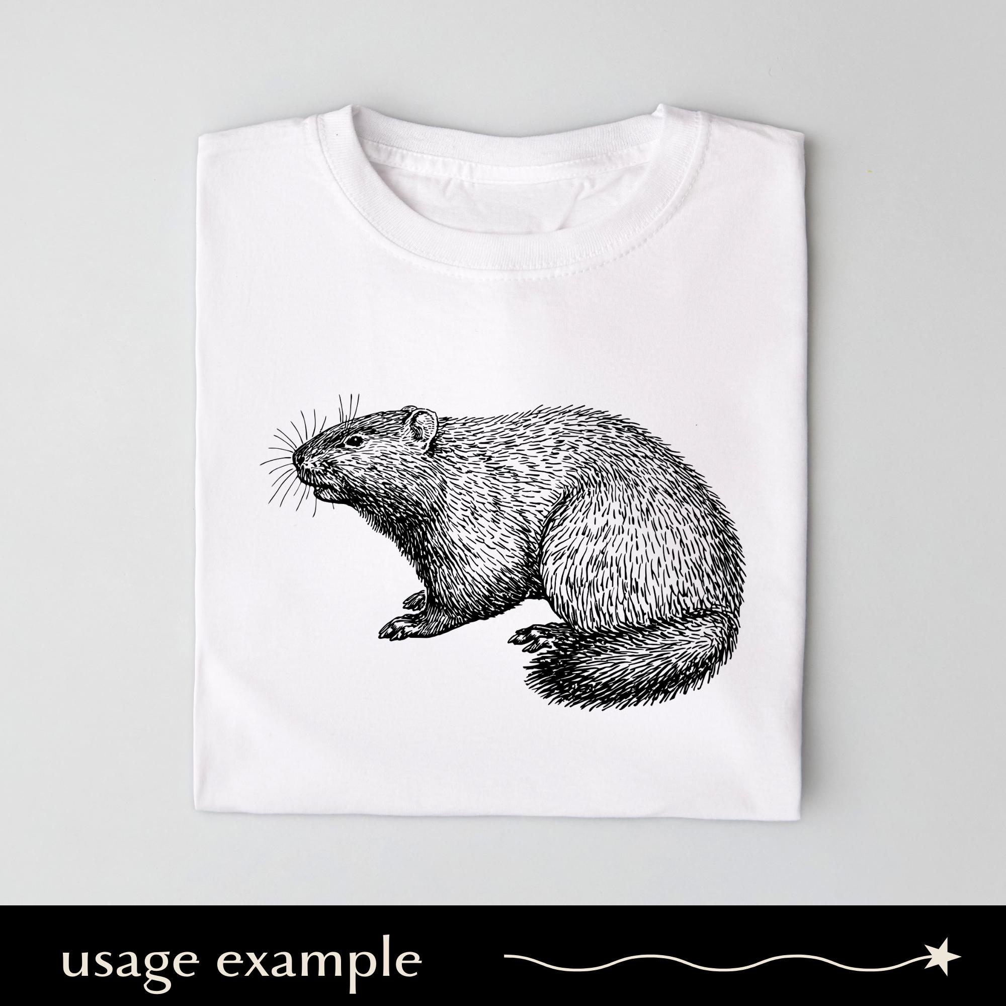 Black & White Groundhog SVG, Realistic Woodchuck Png, Eps, Dxf, Marmota ...