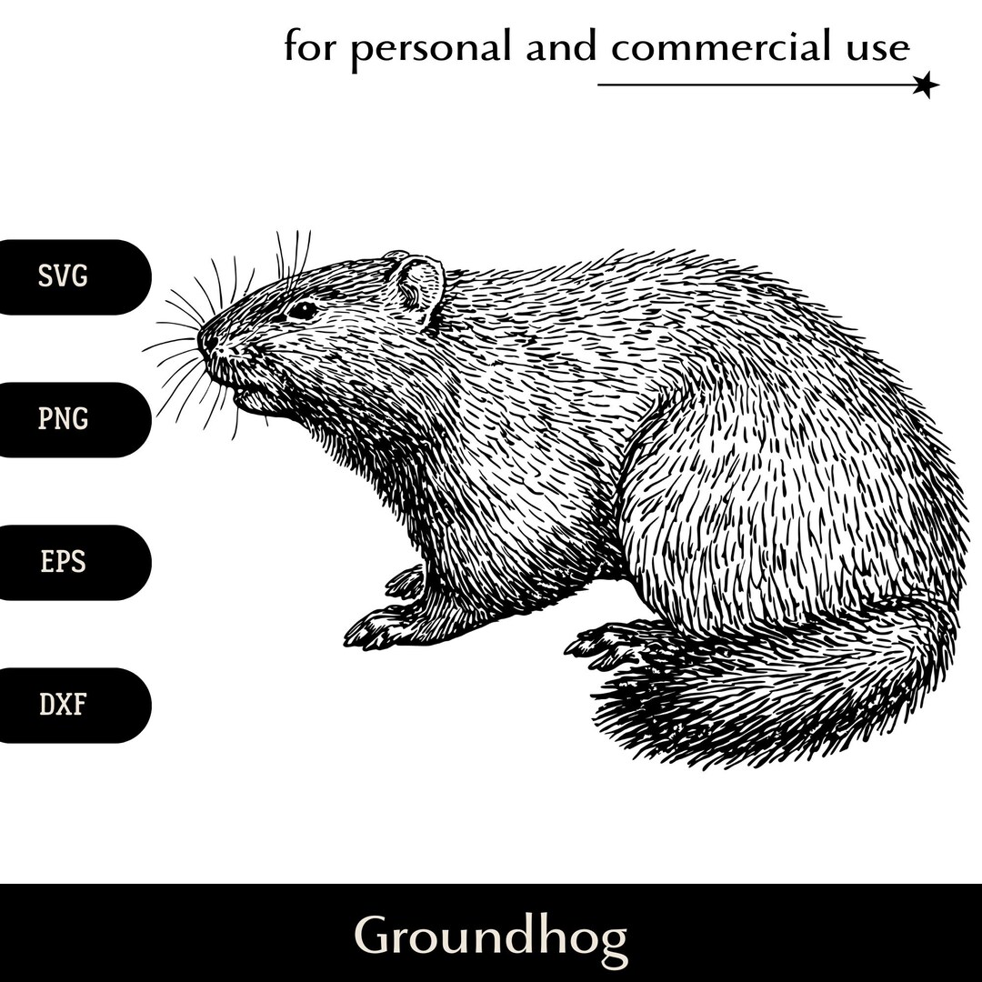 Black & White Groundhog SVG, Realistic Woodchuck Png, Eps, Dxf, Marmota ...