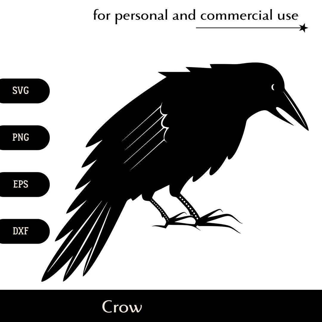 Black & White Crow Bird SVG, Raven Png, Eps, Dxf, Ornithologist Clipart ...