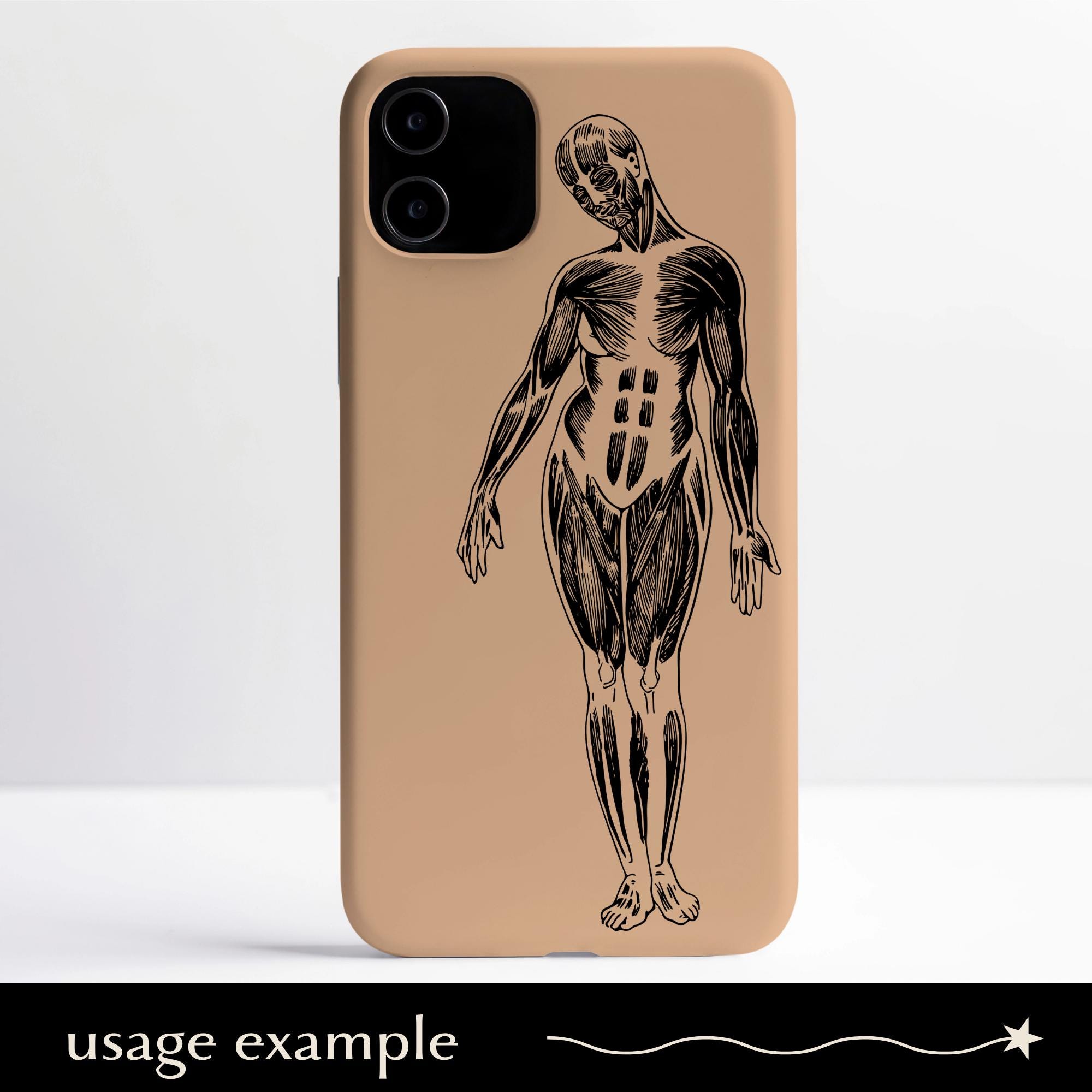 Man and Woman Muscular System SVG, Human Muscles Png, Eps, Dxf, Body ...
