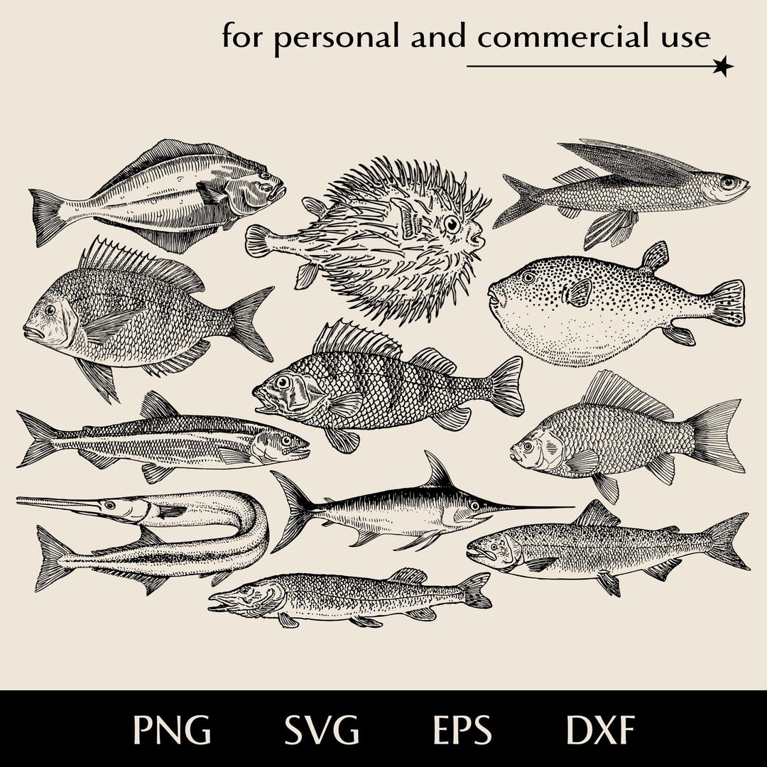 Saltwater and Freshwater Fish SVG Bundle, Blowfish Carp Halibut ...