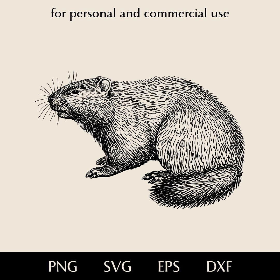 Groundhog SVG, Realistic Woodchuck Png, Eps, Dxf, Marmota Monax Vector ...