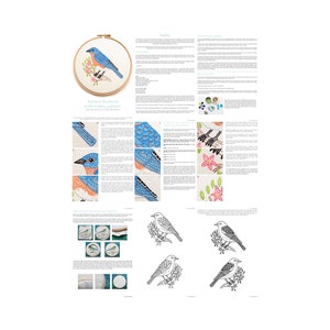 Eastern Bluebird | Bird Embroidery Pattern Instant Download - Etsy