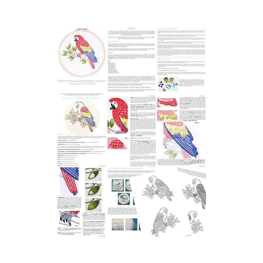 Scarlet Macaw Embroidery Hoop Art Pattern Download - Etsy