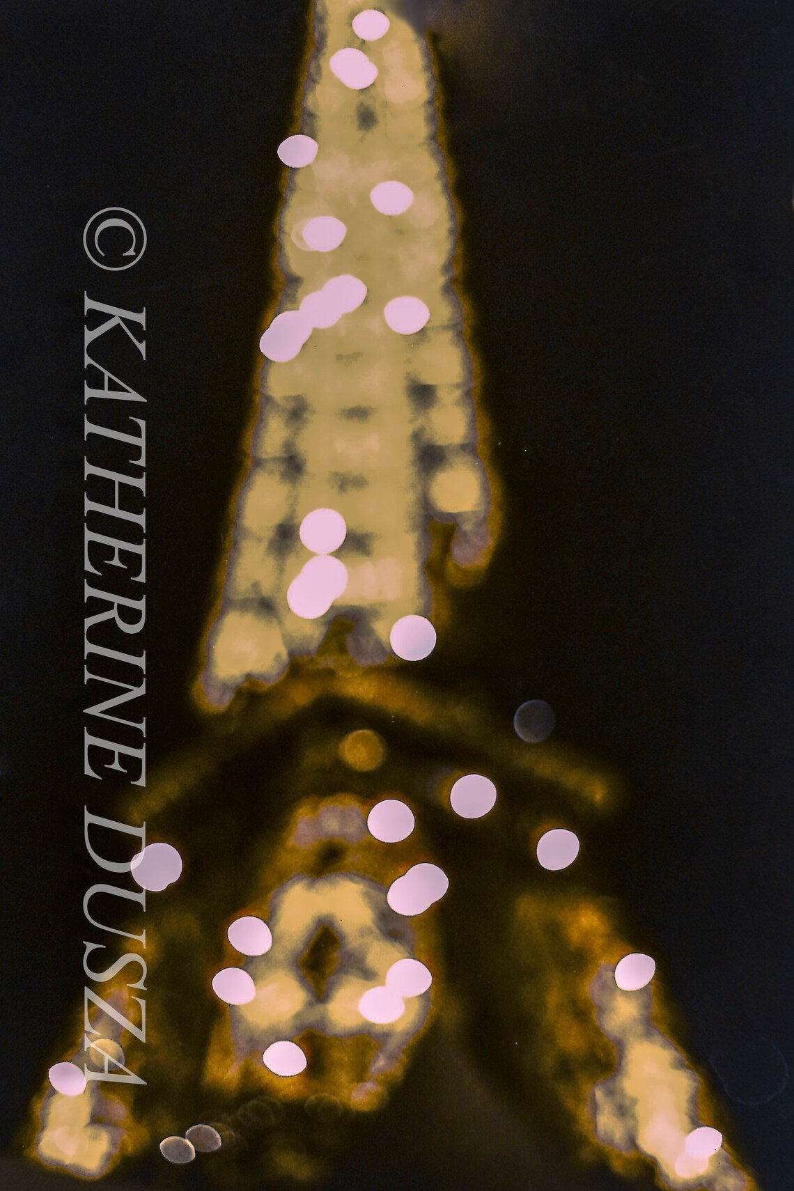 PARIS Fine Art Film Photography Color Film Shot in Paris France ...