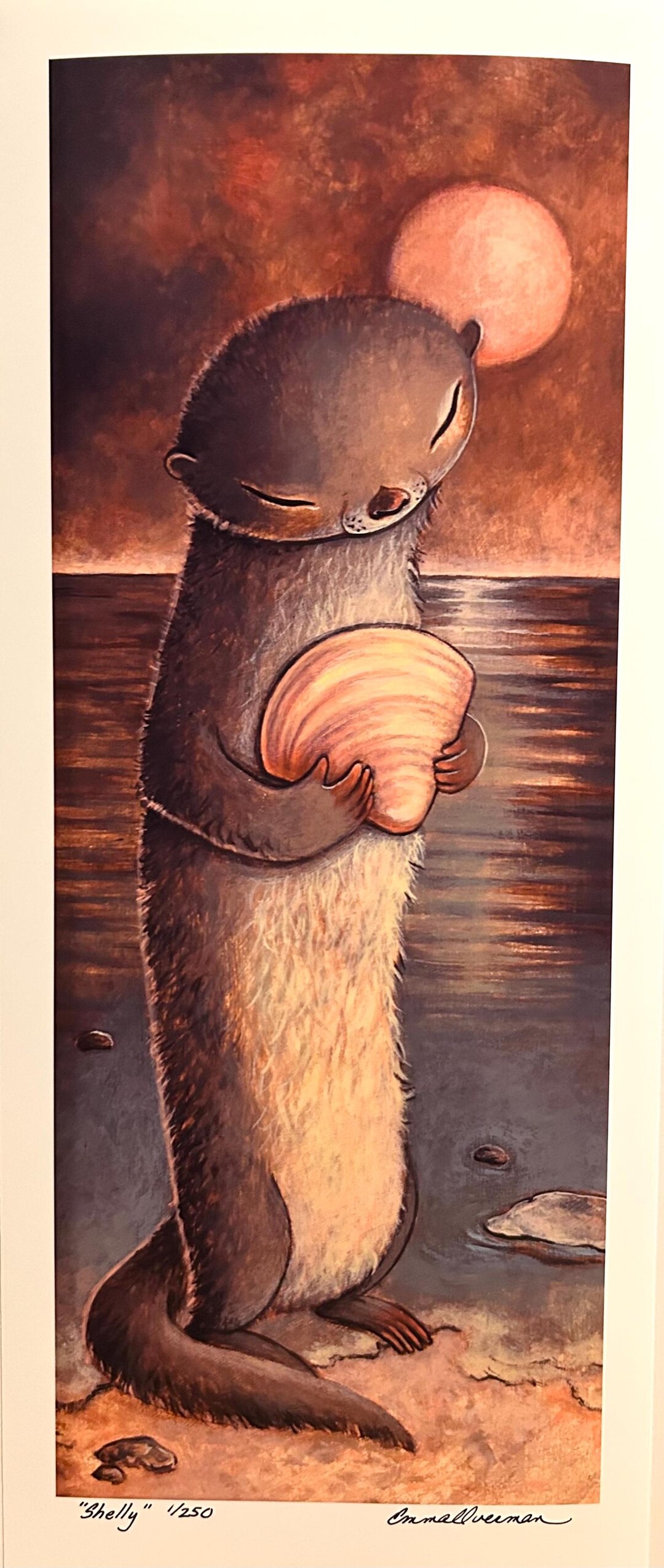 Otter With Shell Limited Edition Reproduction - Etsy