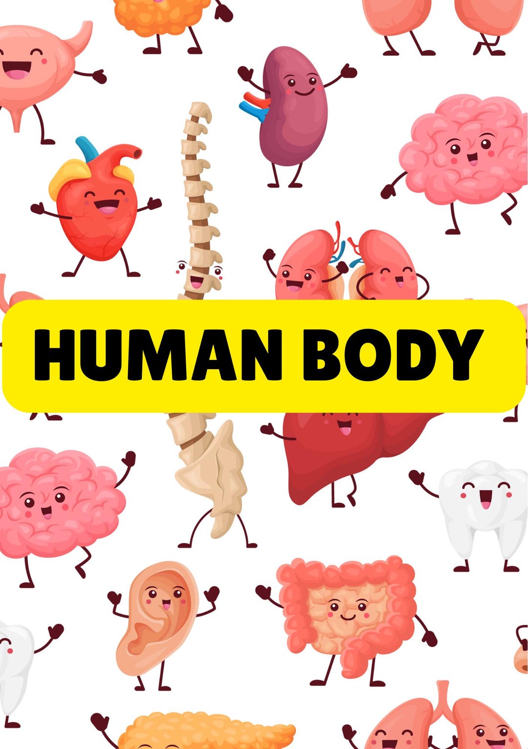 Human Body, Human Function, Pathophysiology, A&P Organ, Organ Function ...