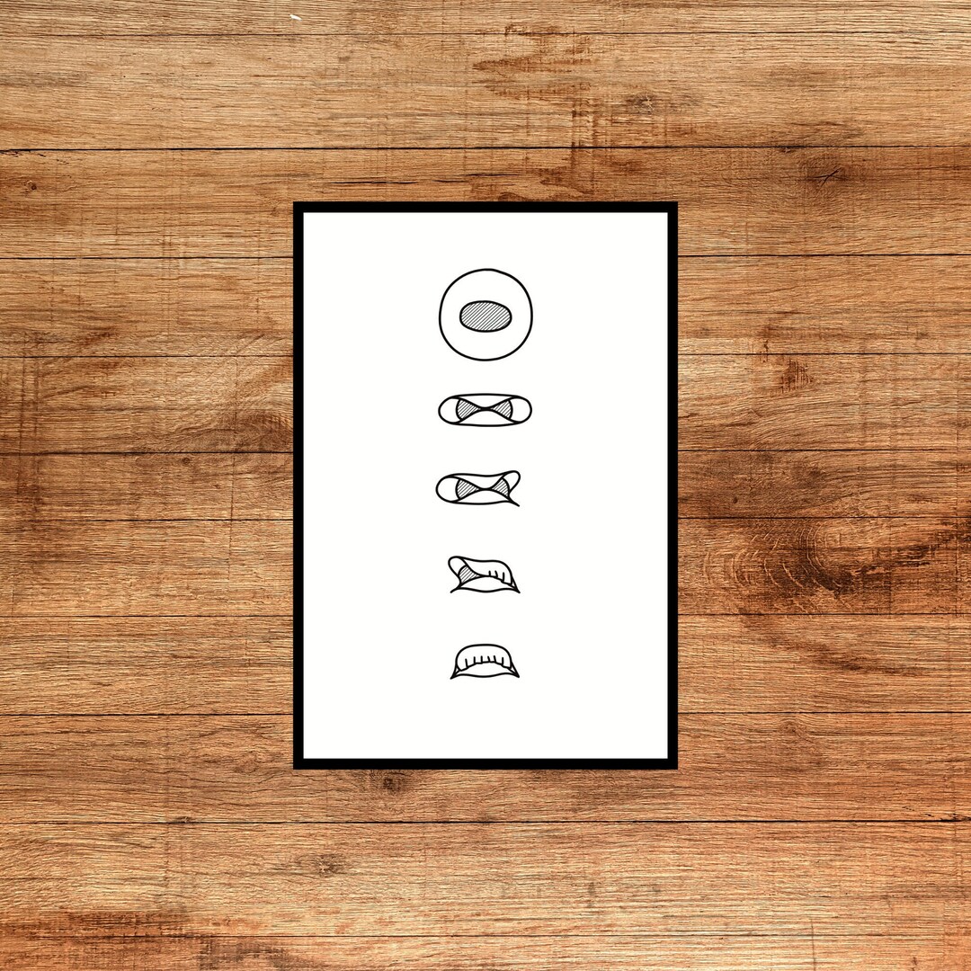 Dumpling Wrapping Diagram Minimalist Art Print | Jiaozi Gyoza Mandu ...
