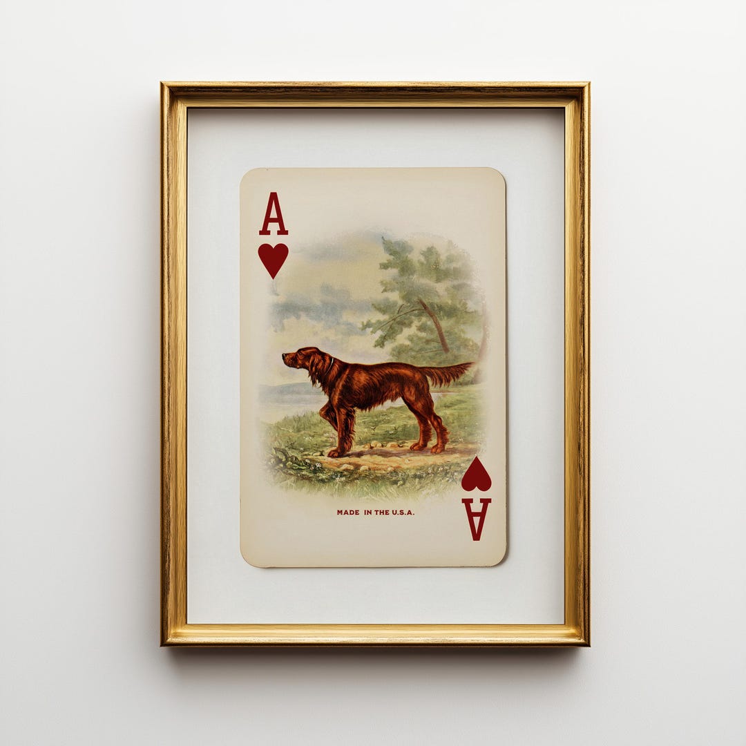 English Setter Ace of Hearts Print – Vintage Playing Card Hunting Dog ...