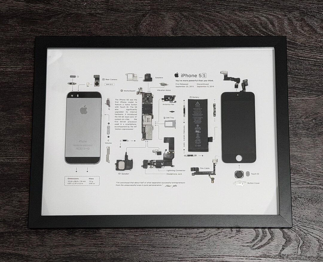 Disassembled iPhone 5 / 5S / SE Frame Art, Teardown With Framed Art ...