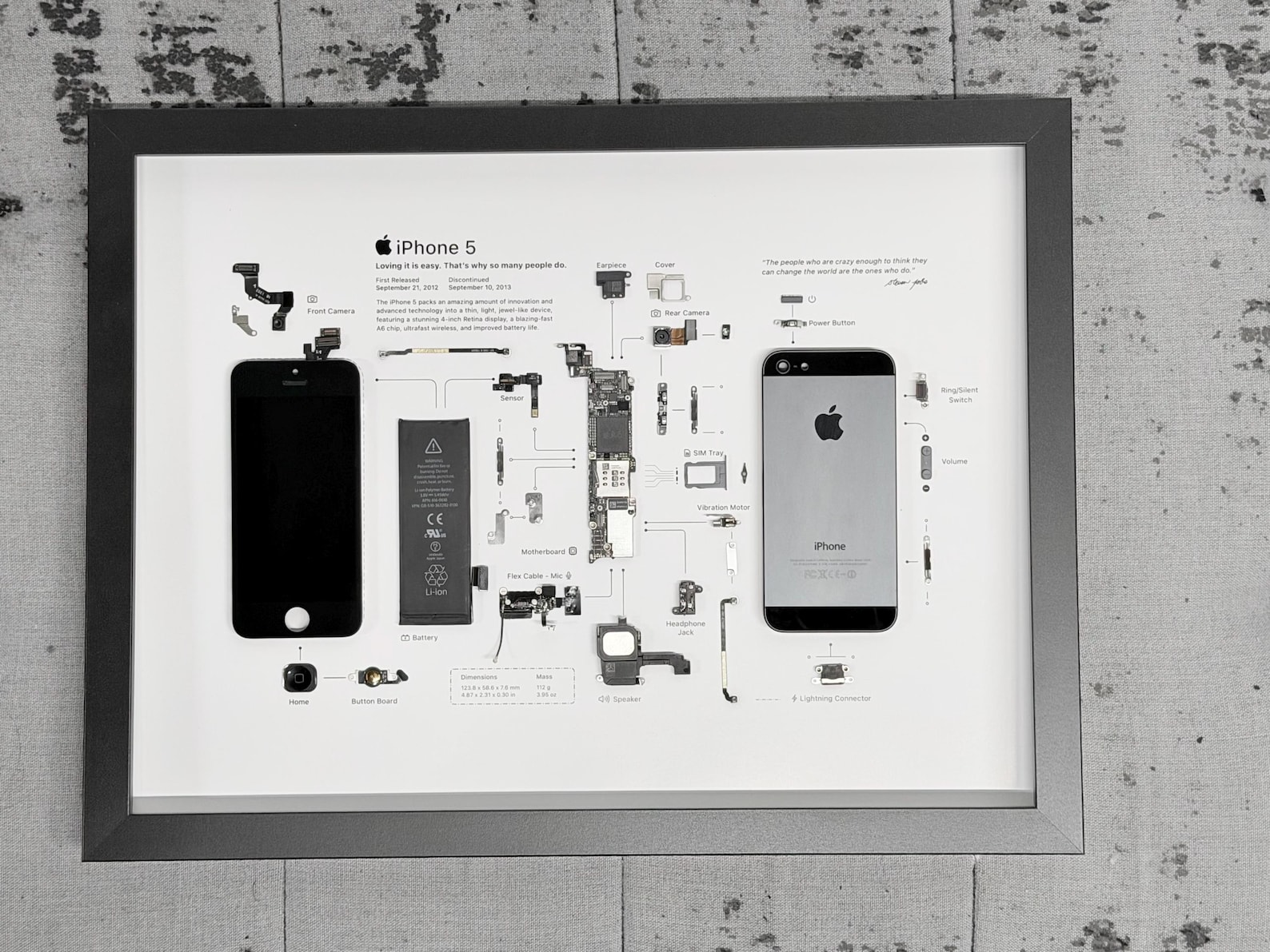 Disassembled iPhone 5 / 5S / SE Frame Art, Teardown With Framed Art ...