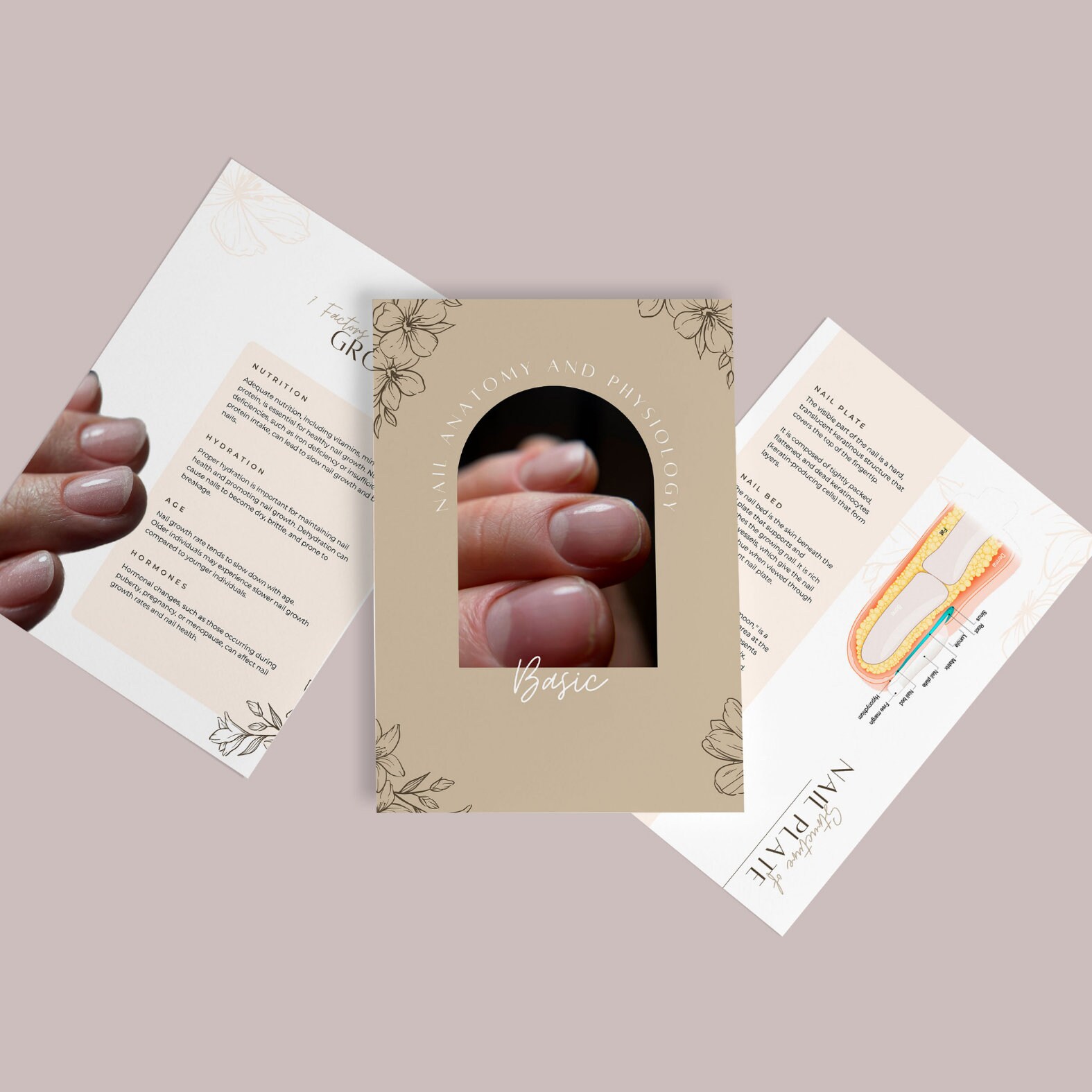 Nail Anatomy and Physiology Guide Canva Editable, Fully EDITABLE Nail ...