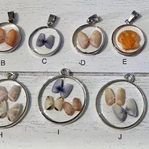 Tiny Seashell Necklaces, Shell Jewelry, Seashell Pendants, Coquina ...