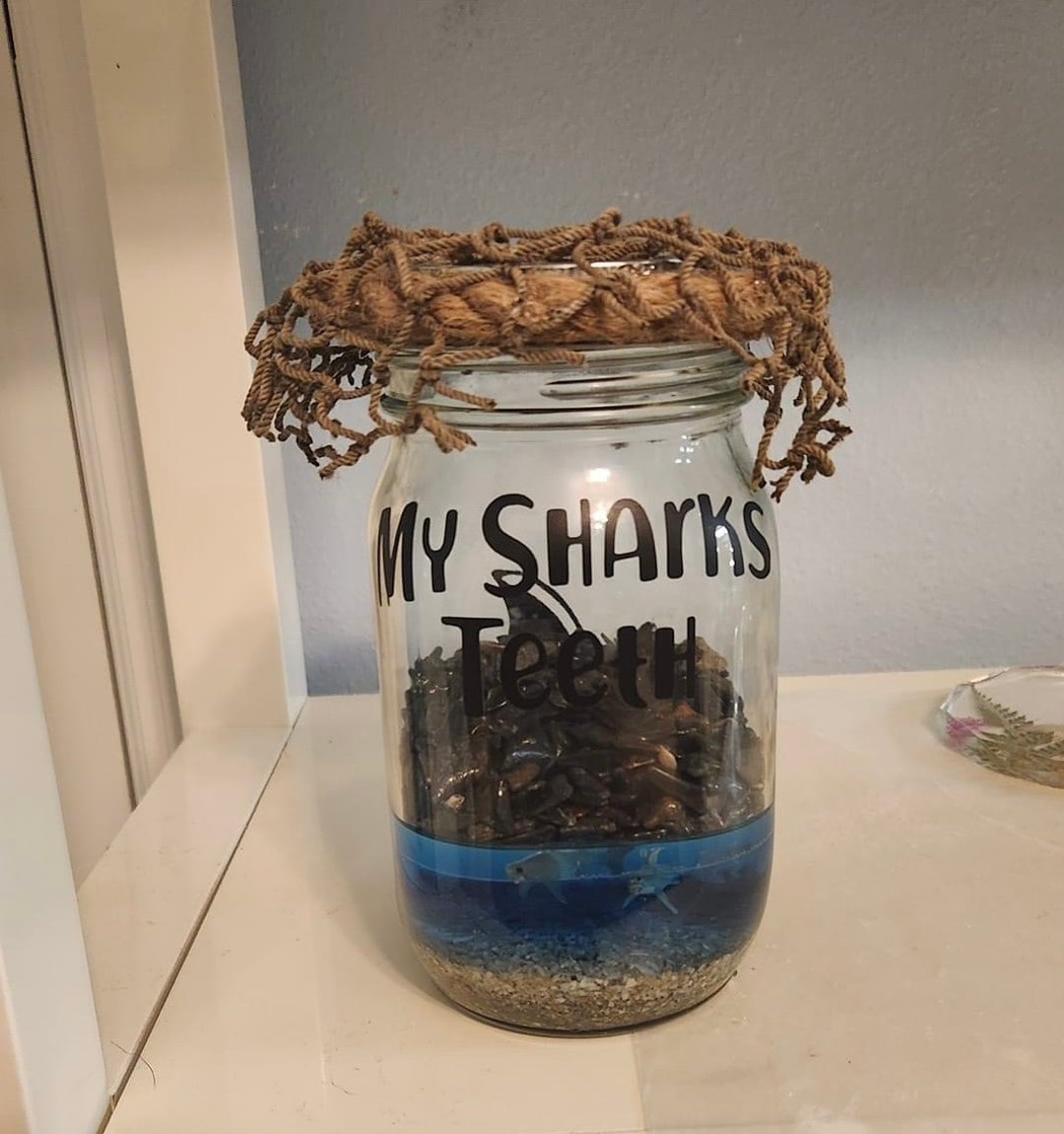 Sharks Teeth Container, Shark Teeth Holder, Coastal Decor - Etsy