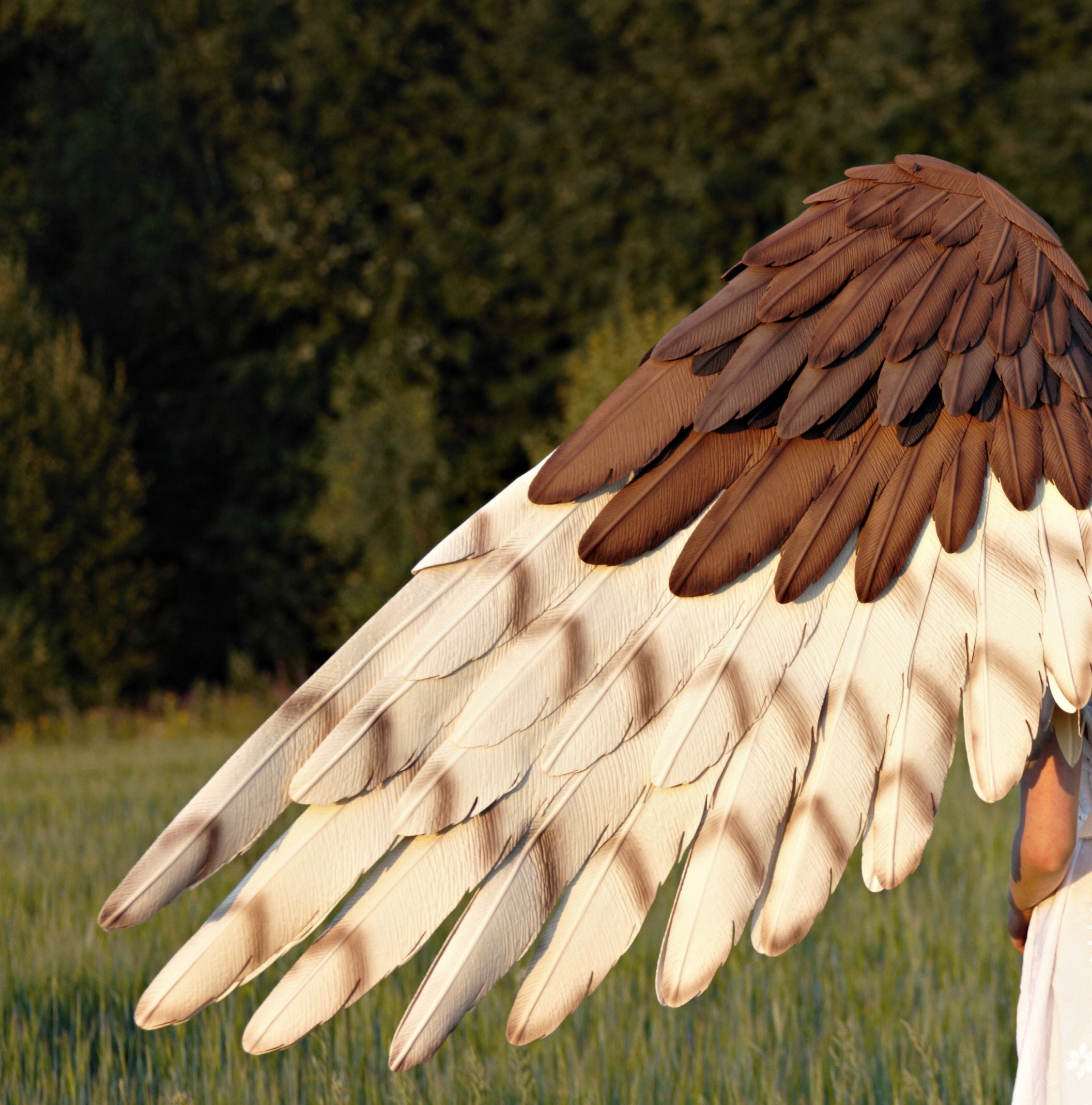 Large Bendable Barn Owl Wings Cosplay Costume/huge Bird's Wings/photo ...