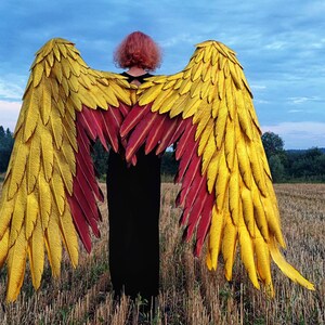 XL Movable Hawkman Wings From Black Adam Film Cosplay Costume ...