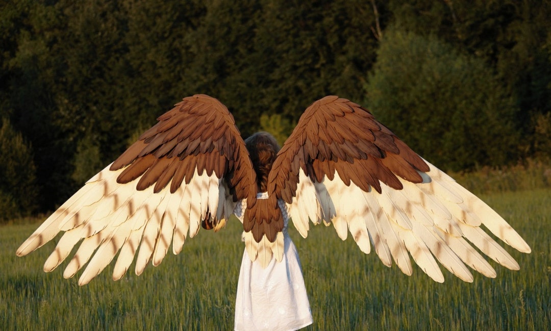 Déguisement Cosplay grandes ailes d'effraie des cloches flexibles/ailes ...