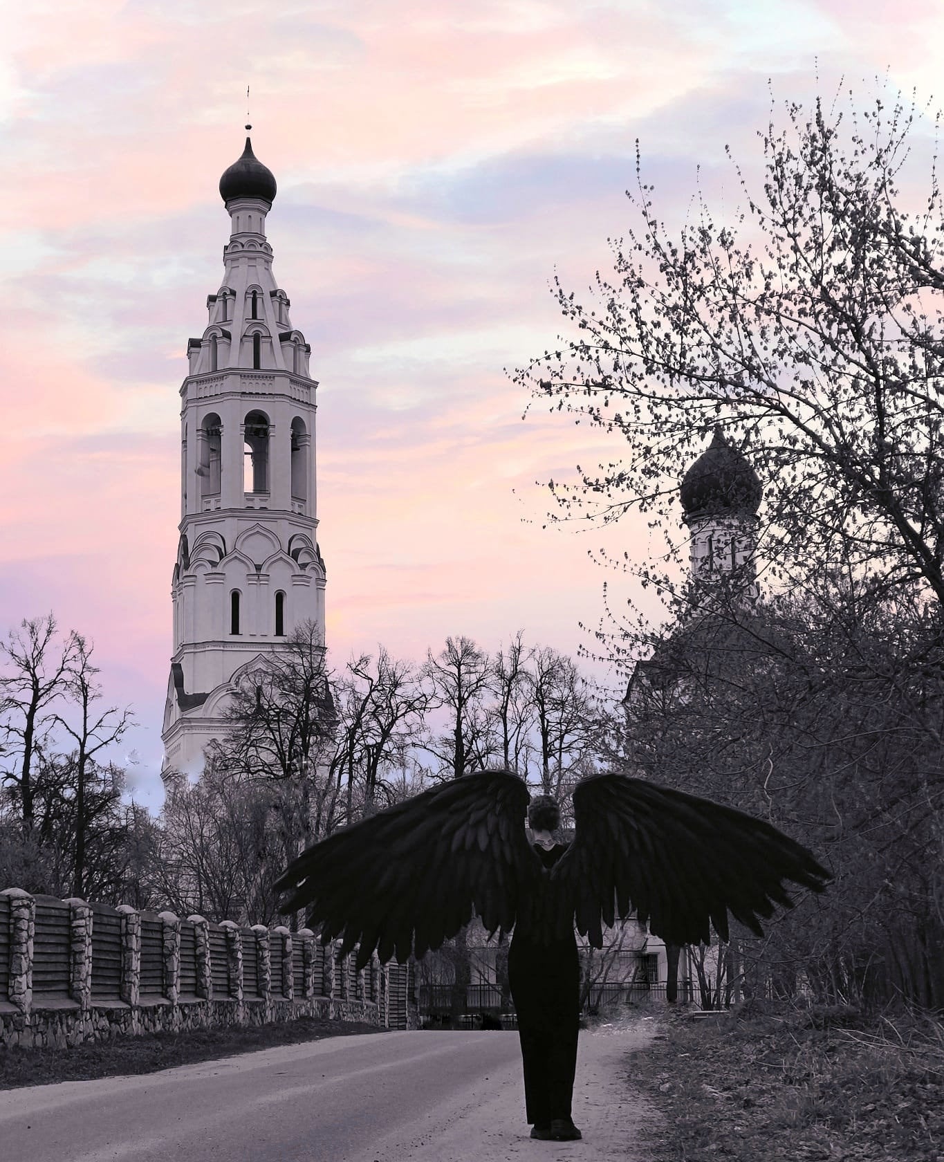 XL Fully Movable Black Wings for Crow/devil/maleficent Cosplay Costume ...