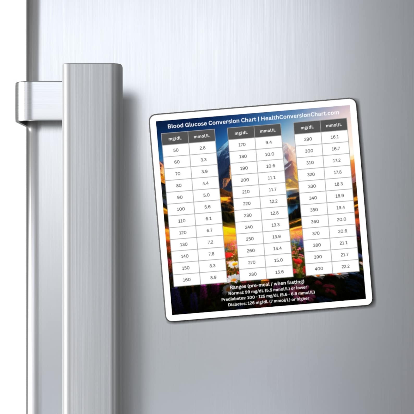 Blood Glucose Conversion Chart Magnet - Etsy