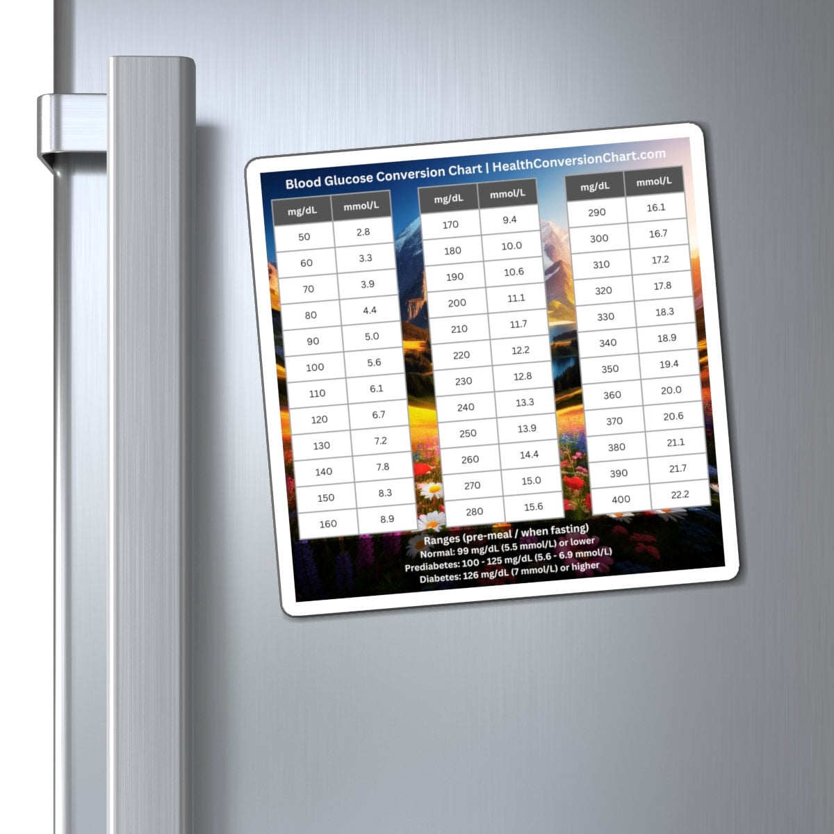 Blood Glucose Conversion Chart Magnet - Etsy
