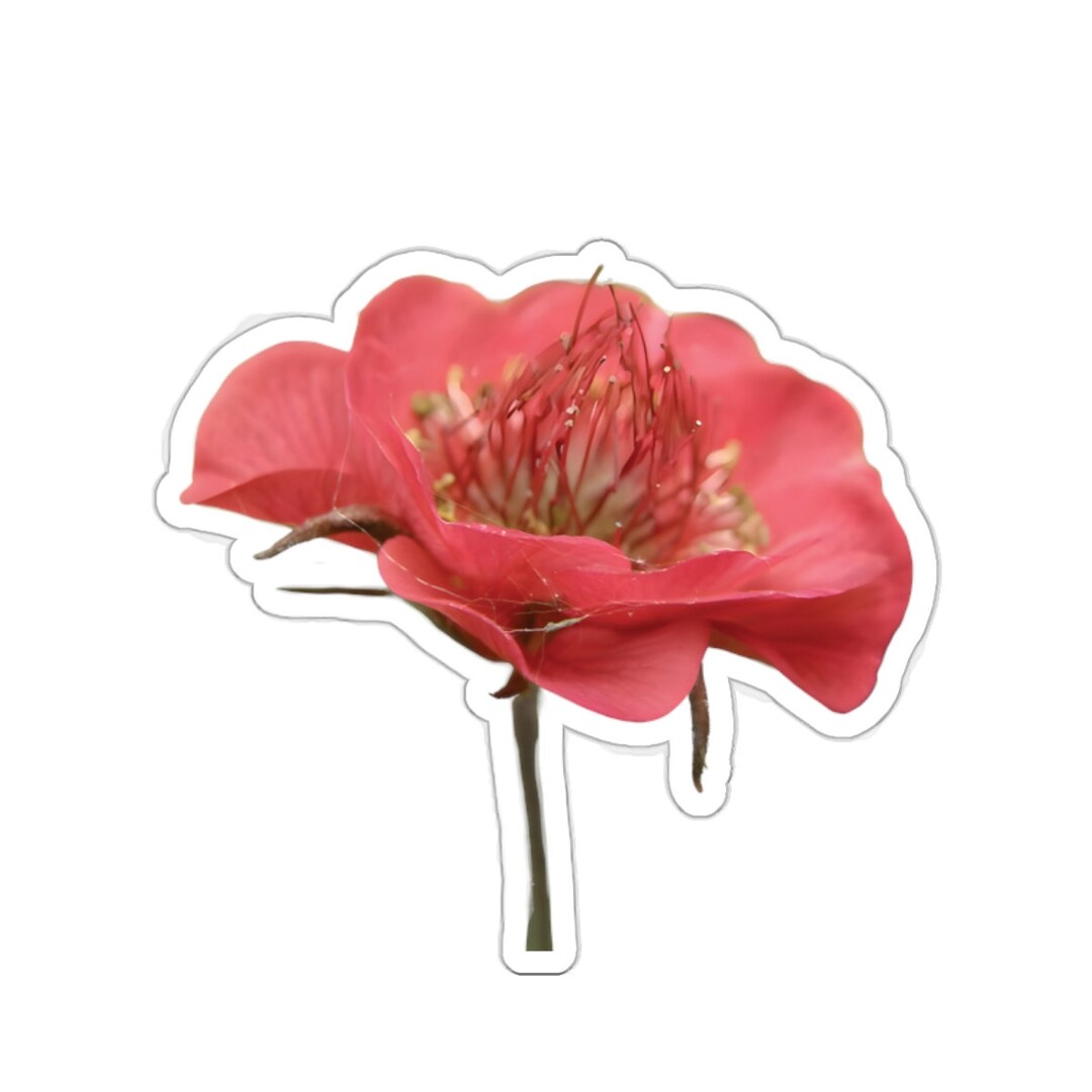 Peel and Stick, Nature-inspired Decor, Floral Art, Red Flower Sticker ...