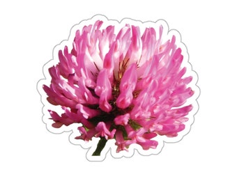 Peel and Stick, Nature-inspired Decor, Floral Art, Pink Flower Sticker ...