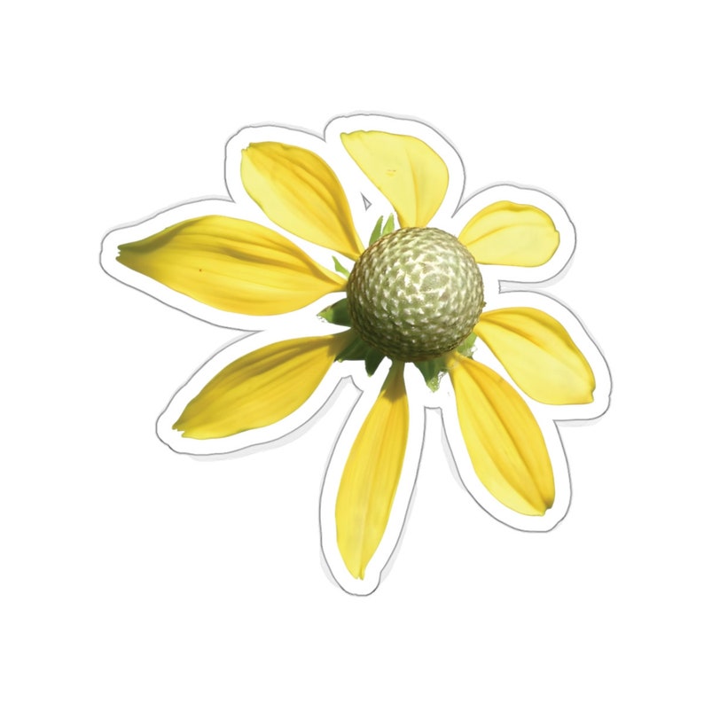 Peel and Stick, Nature-inspired Decor, Floral Art, Yellow Flower ...