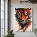 Close-up Tiger Airbrush Art Auto-destructive Canvas Sacred Animal ...