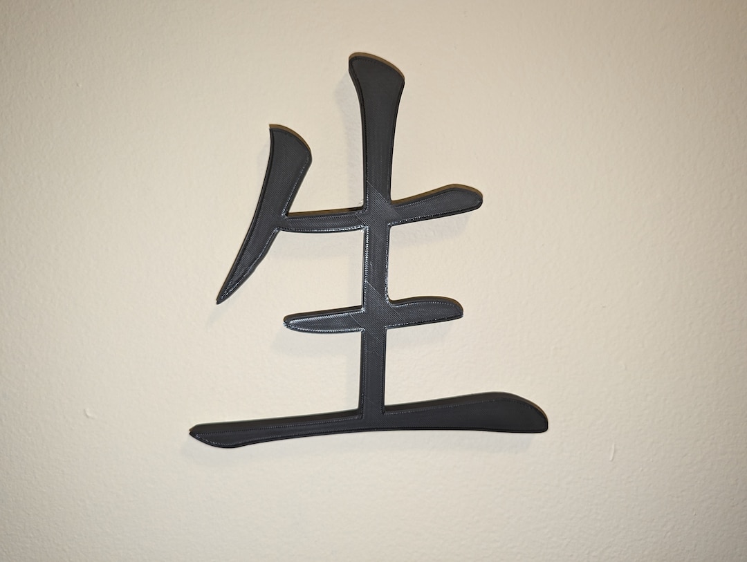 Kanji Life Wall Art - Etsy