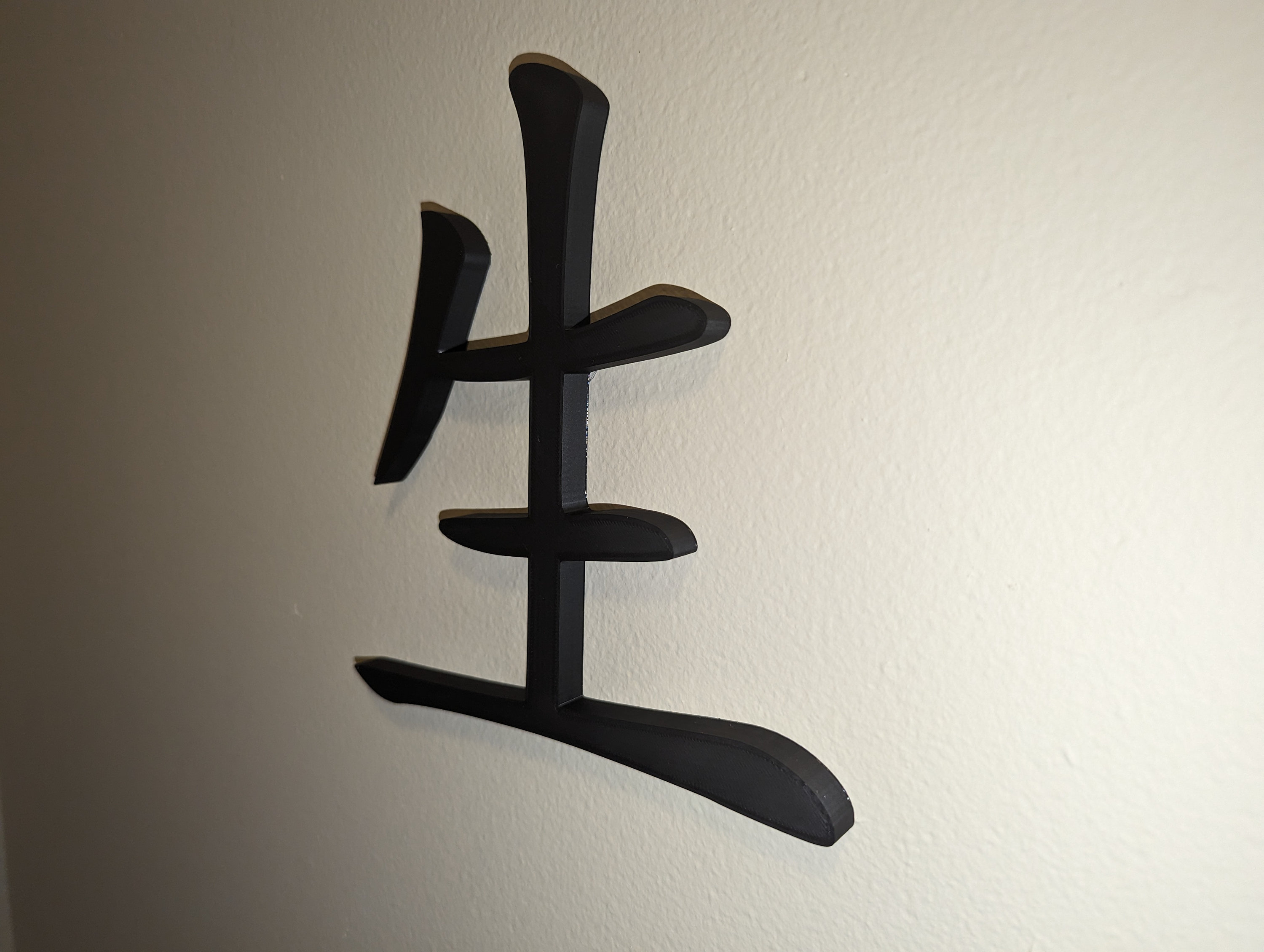 Kanji Life Wall Art - Etsy