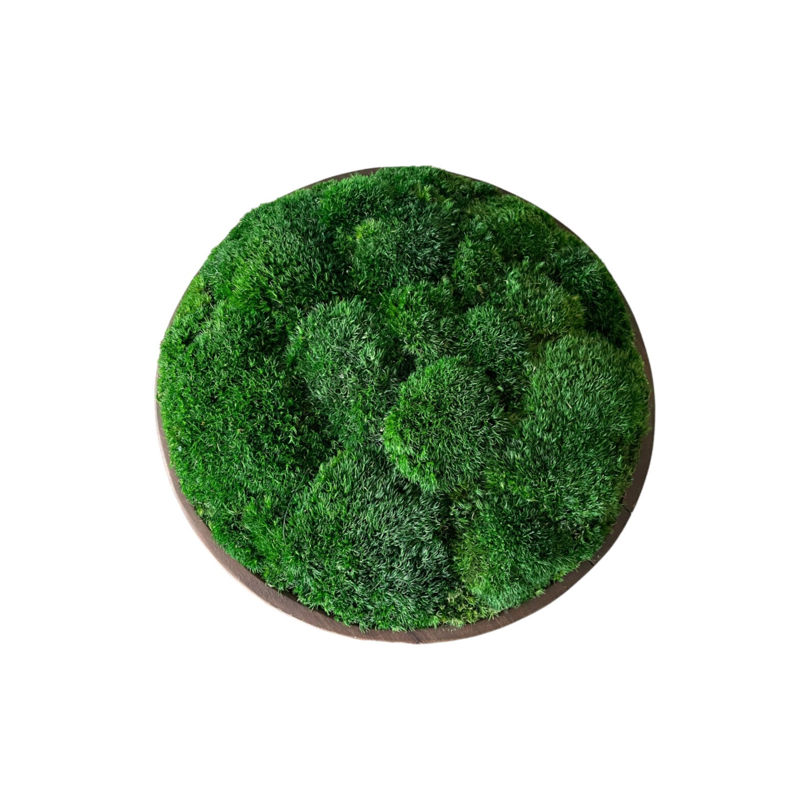 Wood Moss Bowl 14 Modern Newport Bowl Moss Dough Bowl Centerpiece Moss ...
