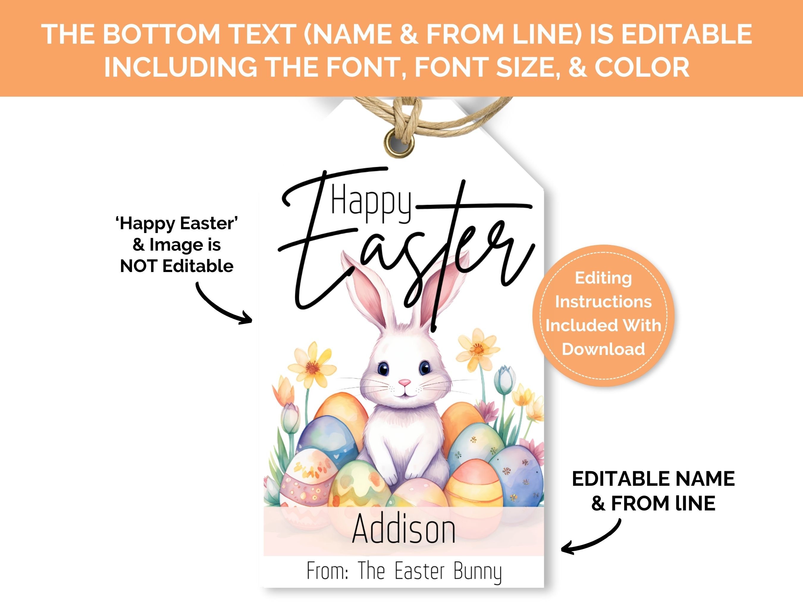 Easter Basket Tag for Kids Easter Basket Editable Printable Easter ...