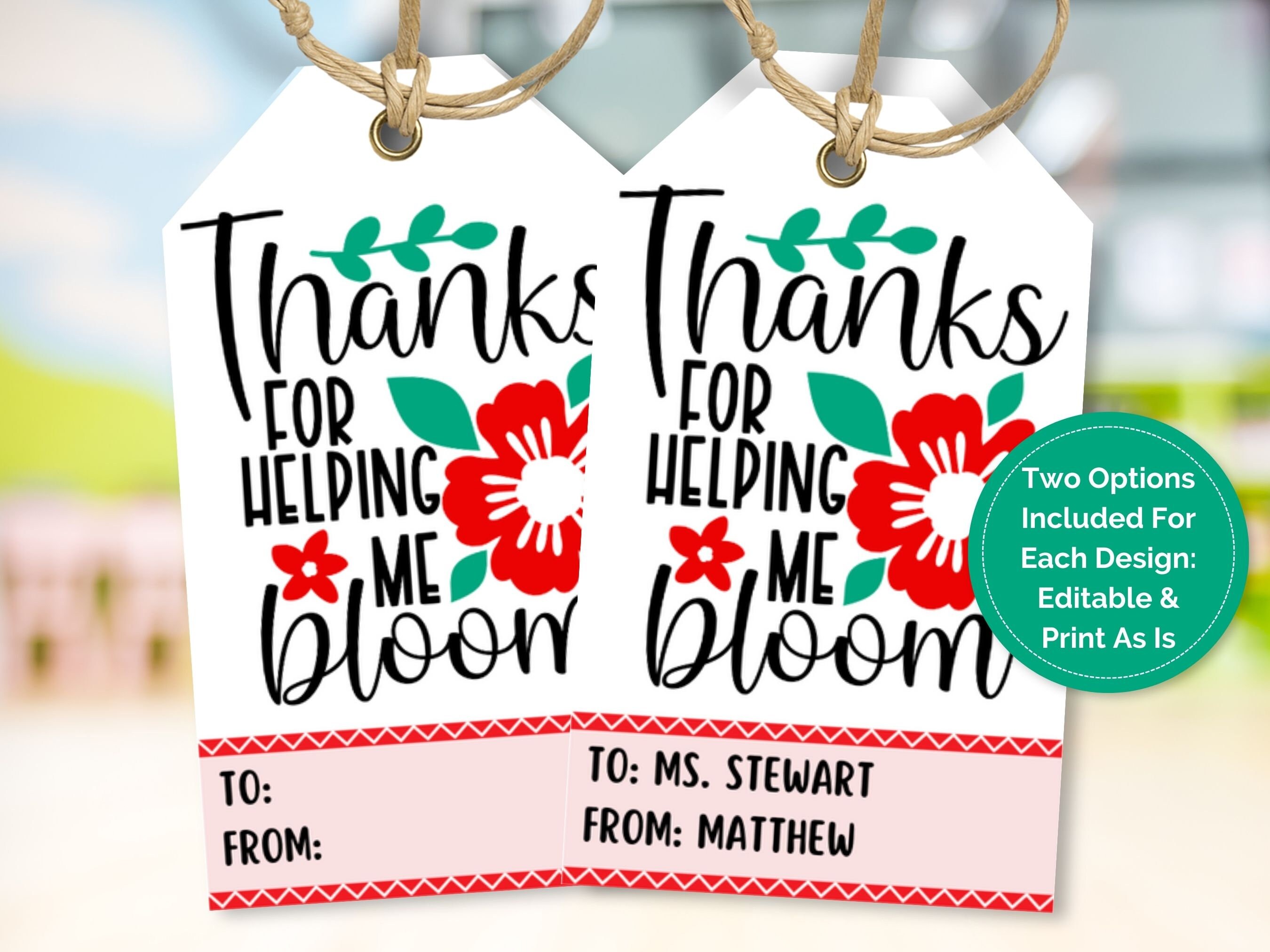 Teacher Appreciation Gift Tag Bundle Printable Thank You Tags for ...