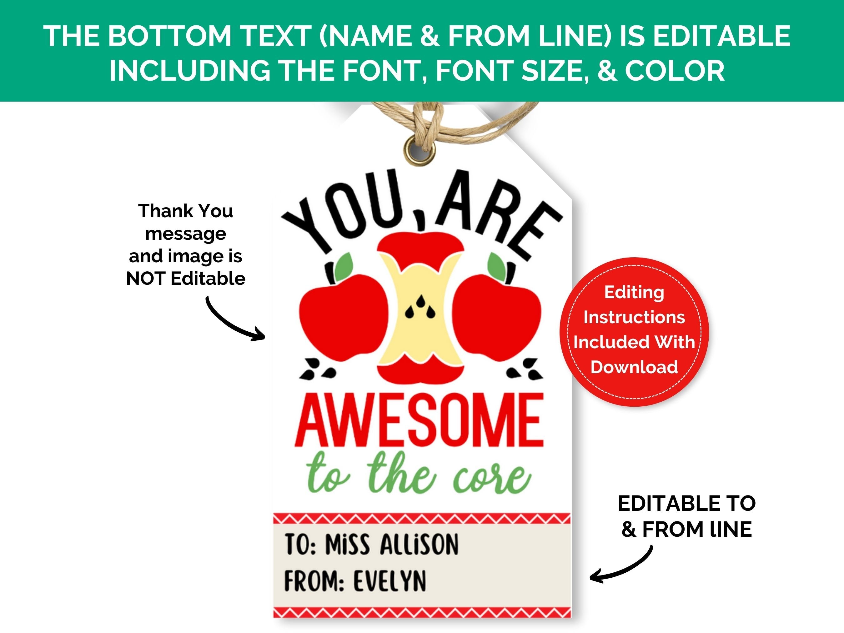 Teacher Appreciation Gift Tag Bundle Printable Thank You Tags for ...