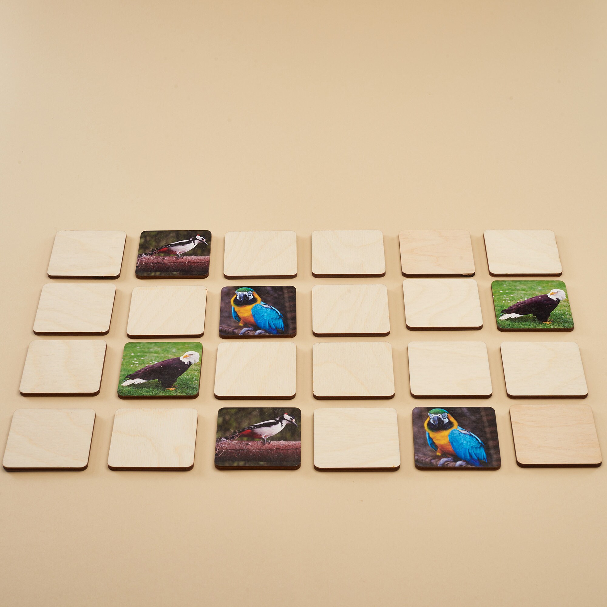 Wild Birds Matching Cards Game Set, Educational Game for Toddler, Game ...