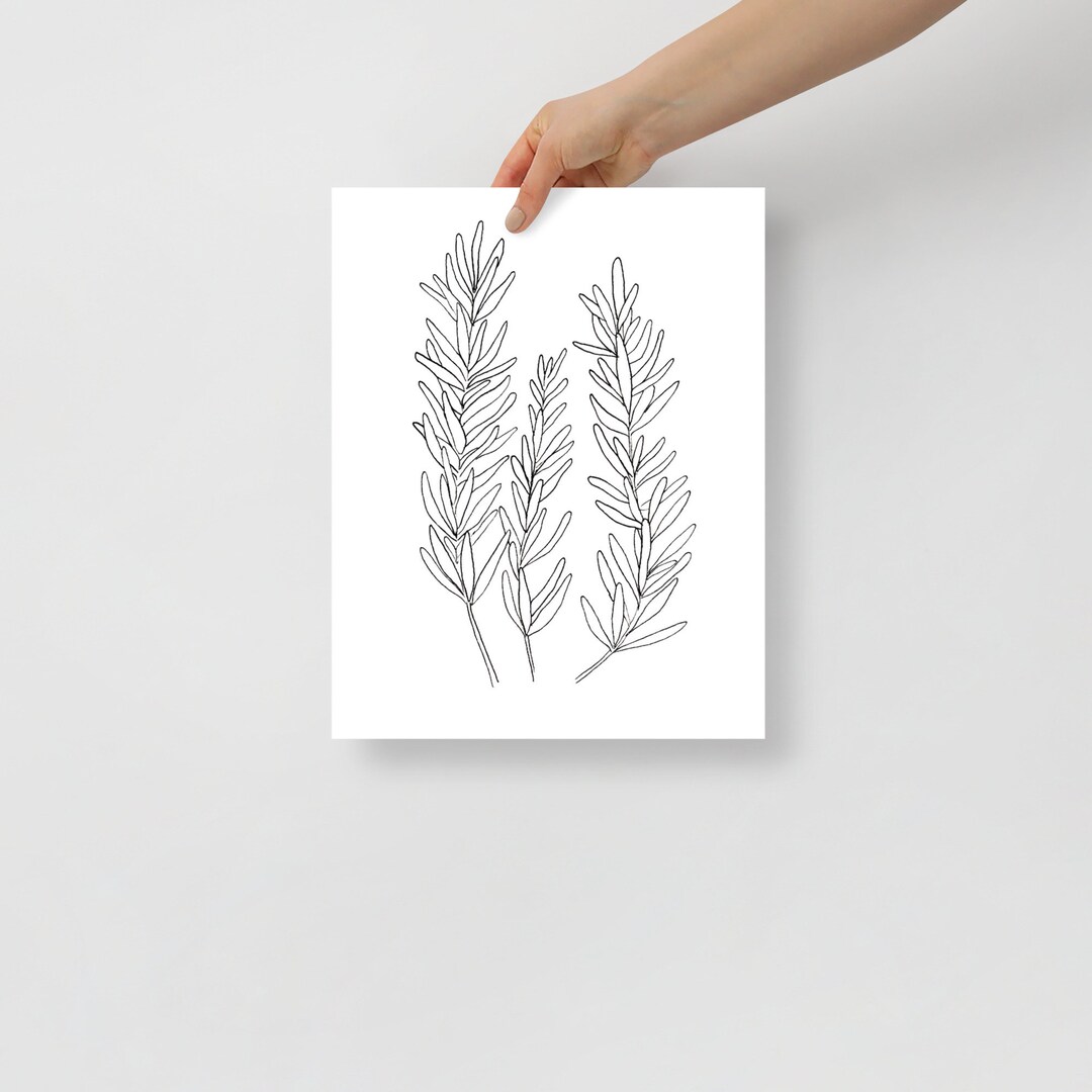 Hand Drawn Ink Rosemary Print - Minimalist Herb Sketch Series - Etsy