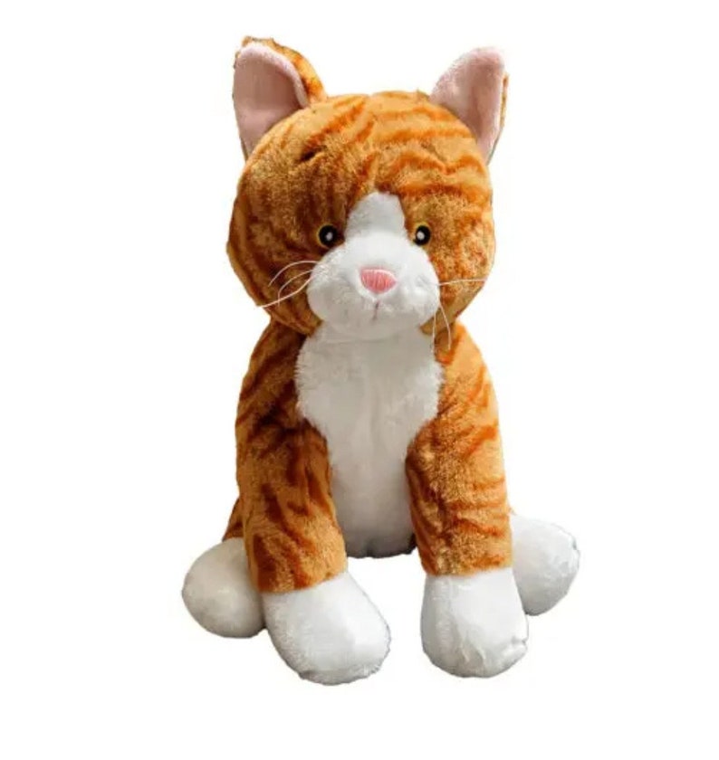 Recordable Stuffy for Baby Heartbeat or Send a Sweet Message. - Etsy