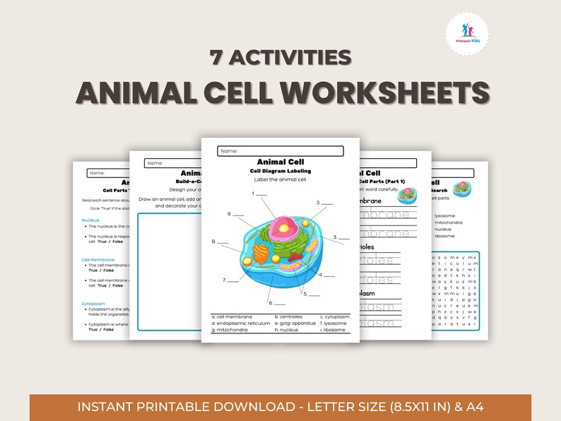 Animal Cell Worksheets Fun and Engaging Science Activities Homeschool ...